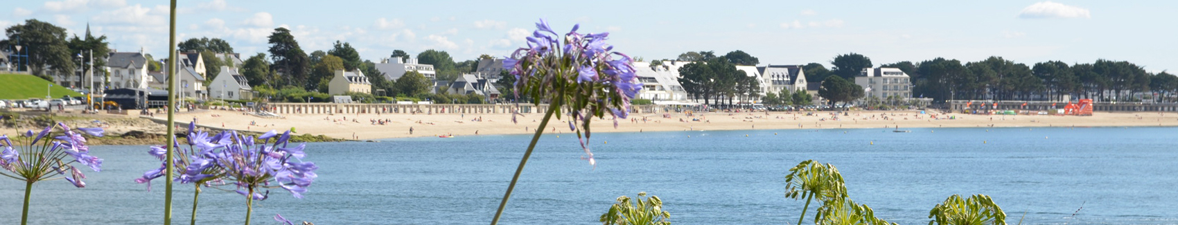 L'agrément d'Adely, société de services à la personne
